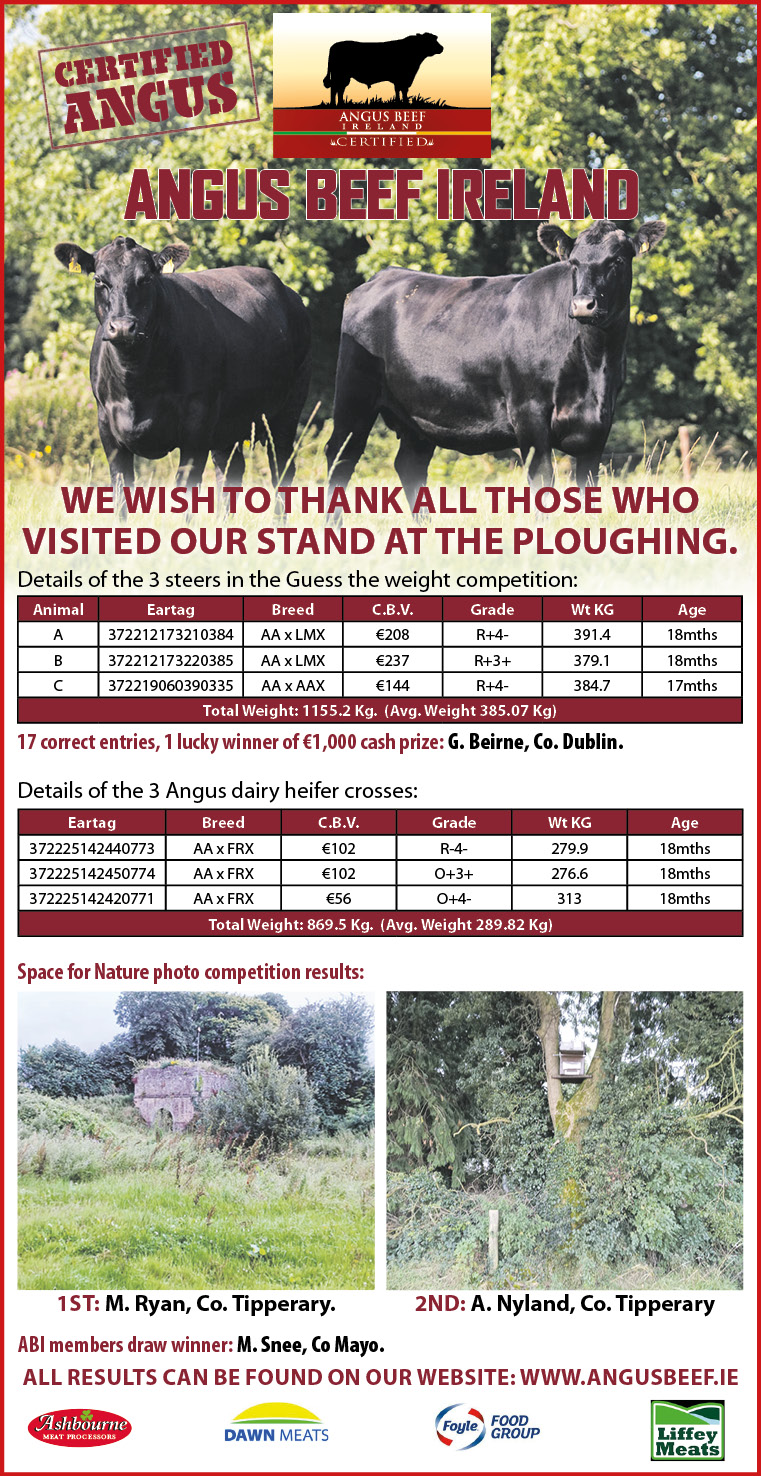 Ploughing 2023 & competition results | Angus Beef Ireland